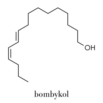「Bombycol」の写真素材 | 12件の無料イラスト画像 | Adobe Stock
