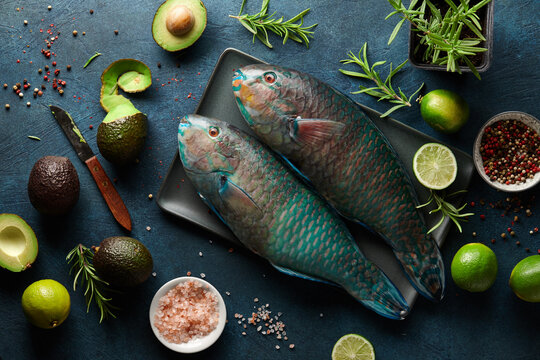 รูปภาพPollyfish – เลือกดูภาพถ่ายสต็อก เวกเตอร์ และวิดีโอ6,968 | Adobe Stock