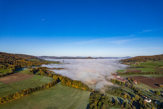 Tann bilder – Bläddra bland 1,749 stockfoton, vektorer och videor ...