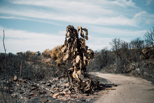 Consumed Images – Browse 378,389 Stock Photos, Vectors, and Video ...