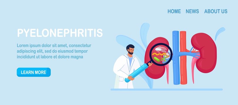 Nephroptosis Images – Browse 234 Stock Photos, Vectors, and Video ...