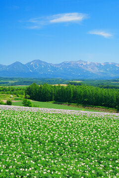 「畑」の画像 - 12,666,589 件の Stock 写真、ベクターおよびビデオ | Adobe Stock