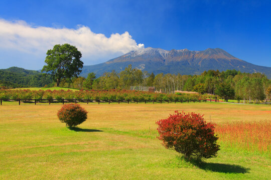 Raucherplatz Bilder – Durchsuchen 877 Archivfotos, Vektorgrafiken und ...