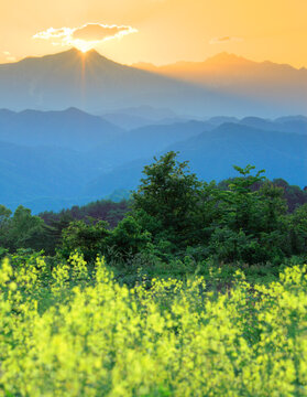 「畑」の画像 - 12,666,589 件の Stock 写真、ベクターおよびビデオ | Adobe Stock