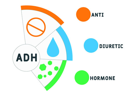 รูปภาพAdh – เลือกดูภาพถ่ายสต็อก เวกเตอร์ และวิดีโอ1,220 | Adobe Stock