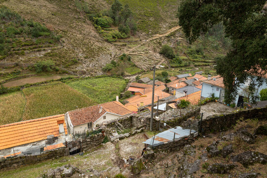 Paivo Images – Browse 31 Stock Photos, Vectors, and Video | Adobe Stock