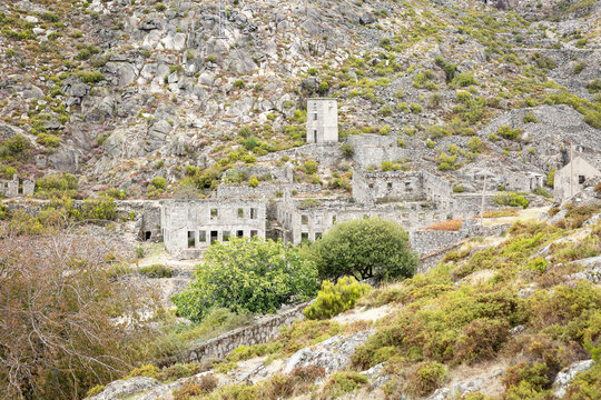 "Poca Images – Browse 408 Stock Photos, Vectors, and Video | Adobe Stock