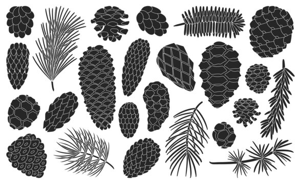 Pine Cone Silhouette Vector