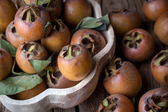 Imagens de Musmula – Explore Fotografias do Stock, Vetores e Vídeos de ...