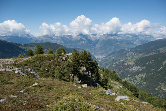 Visp Bilder – Durchsuchen 1,514 Archivfotos, Vektorgrafiken und Videos ...