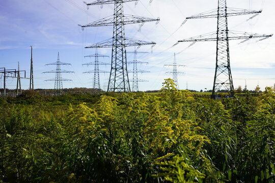 「Biostrom」の画像 - 1,135 件の Stock 写真、ベクターおよびビデオ | Adobe Stock