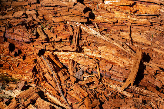 รูปภาพVerwesung – เลือกดูภาพถ่ายสต็อก เวกเตอร์ และวิดีโอ735 | Adobe Stock