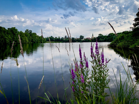 Riedsee-Bilder: Stock-Fotos & -Videos. | Adobe Stock