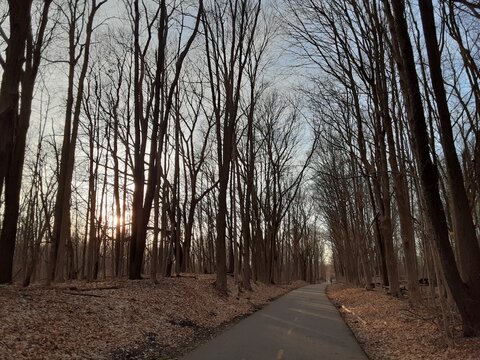 MysticalM photos, images, assets | Adobe Stock