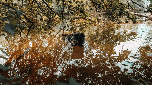 Madiran Bilder – Durchsuchen 84 Archivfotos, Vektorgrafiken und Videos | Adobe Stock