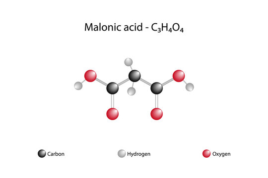 Malonic Acid Lewis Structure