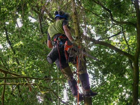 DIE 1,232 BESTEN BILDER, STOCK-FOTOS UND -VEKTORGRAFIKEN ZU ...