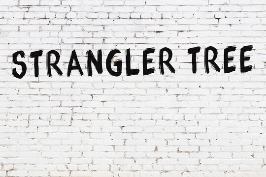 886 IMAGES, PHOTOS ET ILLUSTRATIONS VECTORIELLES STOCK APPROPRIÉES SUR ...