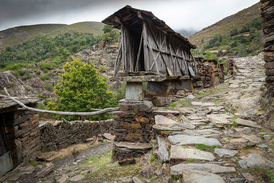 「Paivo」の写真素材 | 29件の無料イラスト画像 | Adobe Stock