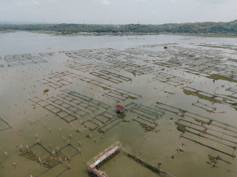 Tambak Bilder – Durchsuchen 158 Archivfotos, Vektorgrafiken und Videos ...