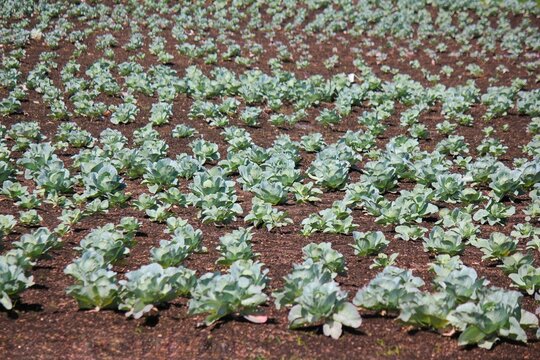 Lucre Images – Browse 3,122,877 Stock Photos, Vectors, and Video ...