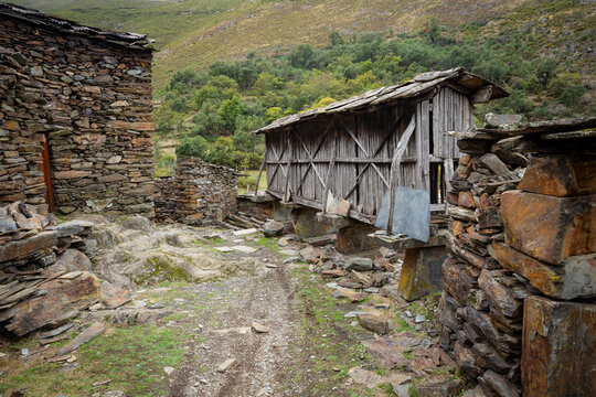 Paivo Images – Browse 31 Stock Photos, Vectors, and Video | Adobe Stock