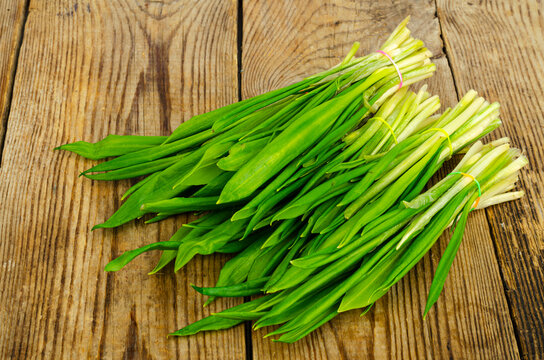 Kurrat Bilder – Durchsuchen 2,828 Archivfotos, Vektorgrafiken und ...