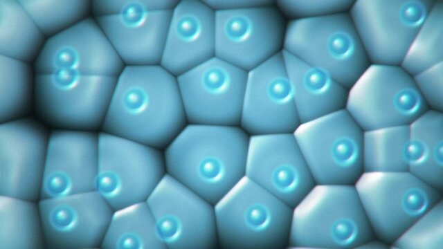 Poop Under Microscope Images – Browse 83 Stock Photos, Vectors, and ...