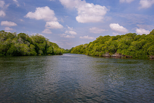 รูปภาพ"Horn Of Africa" – เลือกดูภาพถ่ายสต็อก เวกเตอร์ และวิดีโอ3,089 ...