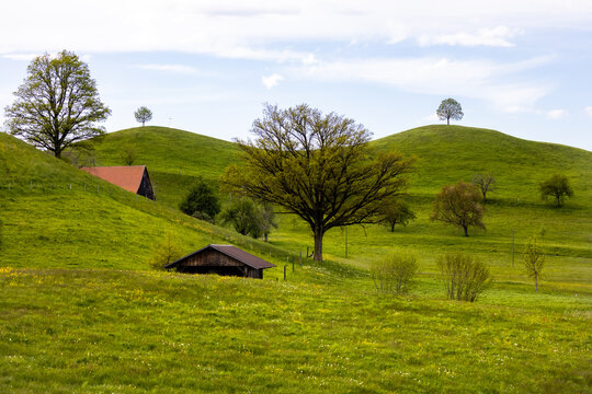 Hirzel Bilder – Durchsuchen 219 Archivfotos, Vektorgrafiken und Videos ...