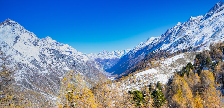 Visp Bilder – Durchsuchen 1,514 Archivfotos, Vektorgrafiken und Videos ...