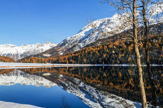 Champfer-Bilder: Stock-Fotos & -Videos. | Adobe Stock