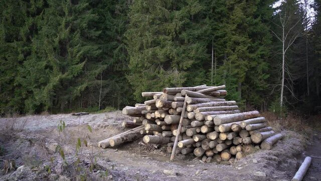 Log-Pile Images – Browse 169 Stock Photos, Vectors, and Video | Adobe Stock