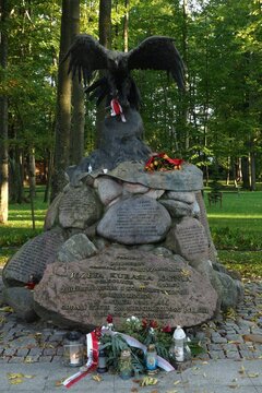 「Kurasia」の写真素材 | 1件の無料イラスト画像 | Adobe Stock