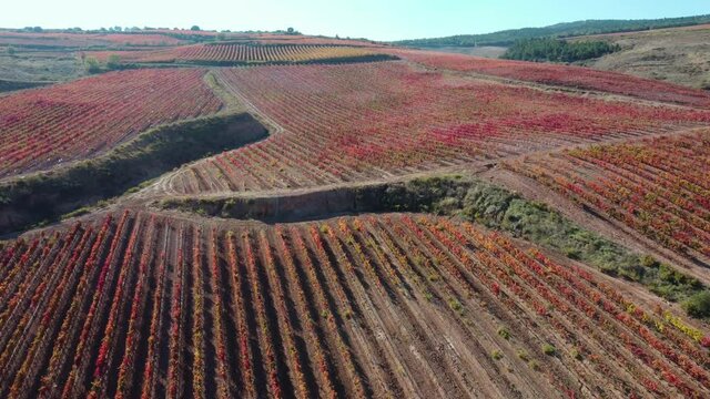 "La Rioja" Images – Browse 15,305 Stock Photos, Vectors, and Video ...