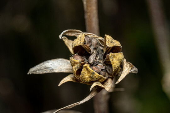 Imagens de Troken – Explore Fotografias do Stock, Vetores e Vídeos de ...