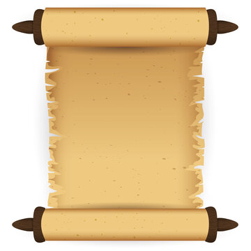 รูปภาพRotulus – เลือกดูภาพถ่ายสต็อก เวกเตอร์ และวิดีโอ1,683 | Adobe Stock