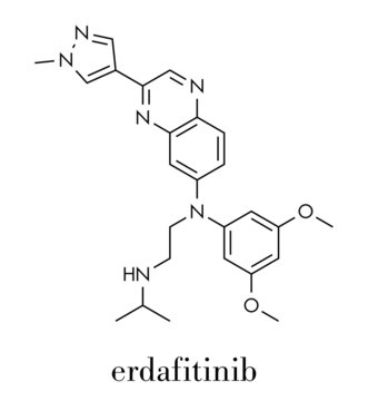 Erdafitinib Images – Browse 7 Stock Photos, Vectors, and Video | Adobe ...