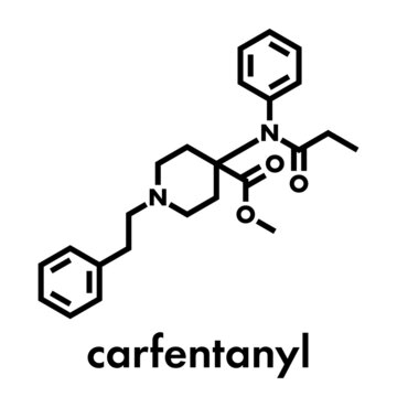 Wildnil Images – Browse 57 Stock Photos, Vectors, and Video | Adobe Stock