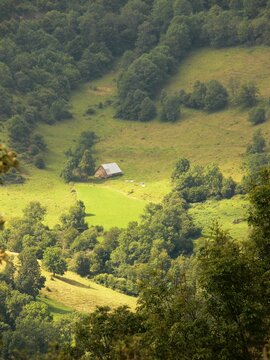 รูปภาพBuron – เลือกดูภาพถ่ายสต็อก เวกเตอร์ และวิดีโอ693 | Adobe Stock