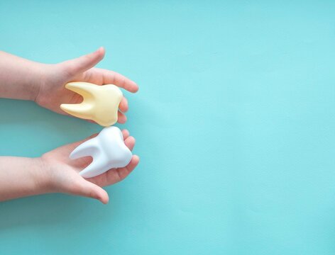 Milchgebiss Bilder – Durchsuchen 21,761 Archivfotos, Vektorgrafiken und ...