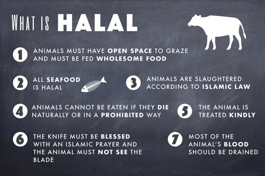 Halal Meat Vs Non Halal Meat