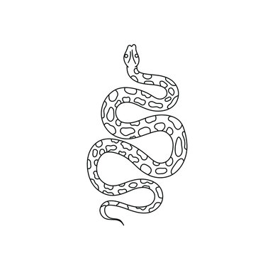 Coiled Snake Outline