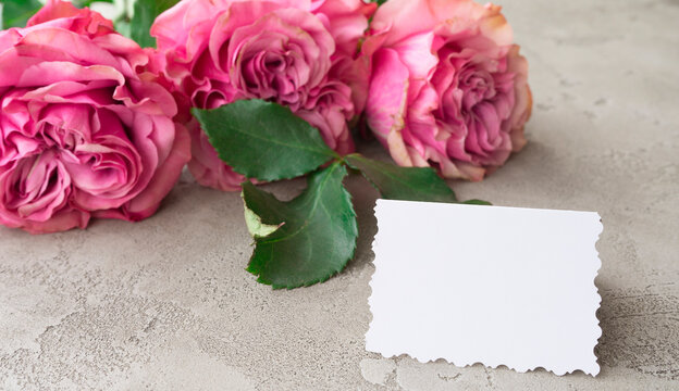 Imágenes de Test De Roses: descubre bancos de fotos, ilustraciones ...