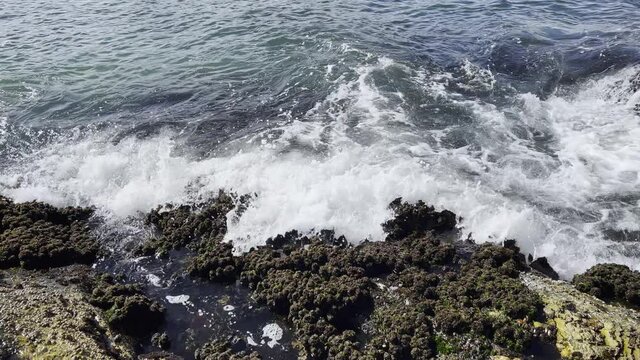 Intertidal Images – Browse 5,085 Stock Photos, Vectors, and Video ...