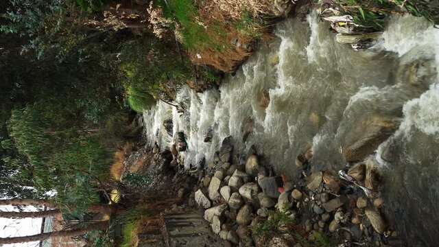 Small Mighty Images – Browse 1,386 Stock Photos, Vectors, and Video ...