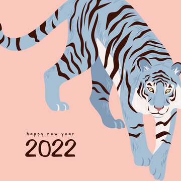 "Tiger Print" Bilder – Durchsuchen 1,187 Archivfotos, Vektorgrafiken ...