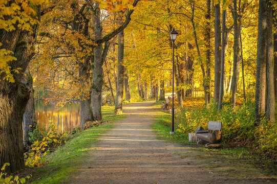 Koknese Images – Browse 763 Stock Photos, Vectors, and Video | Adobe Stock