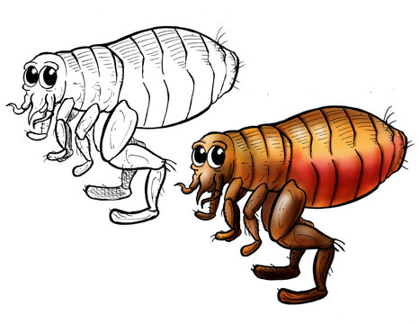 Flea Cartoon Images – Browse 4,420 Stock Photos, Vectors, and Video ...