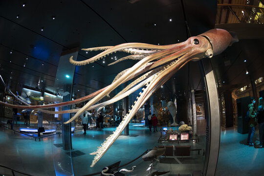 Monumental Images – Browse 276,395 Stock Photos, Vectors, and Video ...